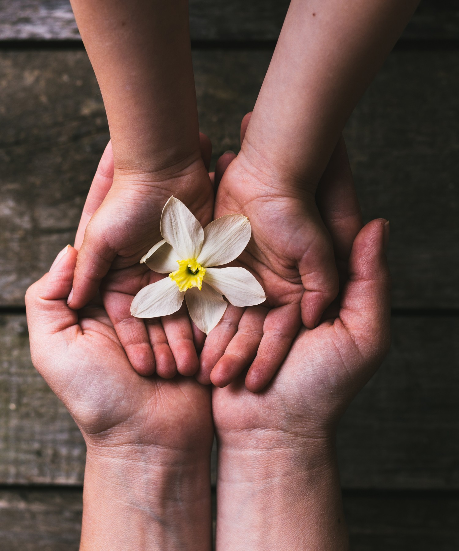 Eczema Care Plan - Eczema Support Australia